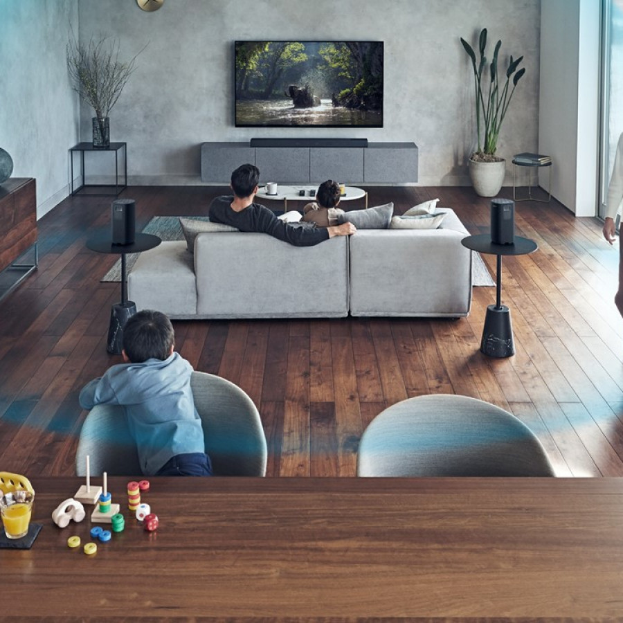 Sony RS5 Wireless Rear Speaker Set - I.M. Tech